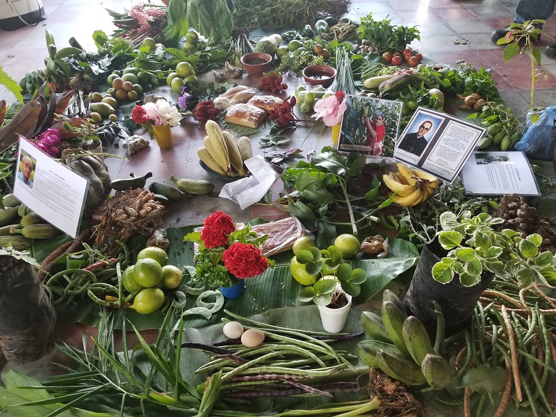 Mujeres Chalatecas rescatan la medicina ancestral como prevención al ...