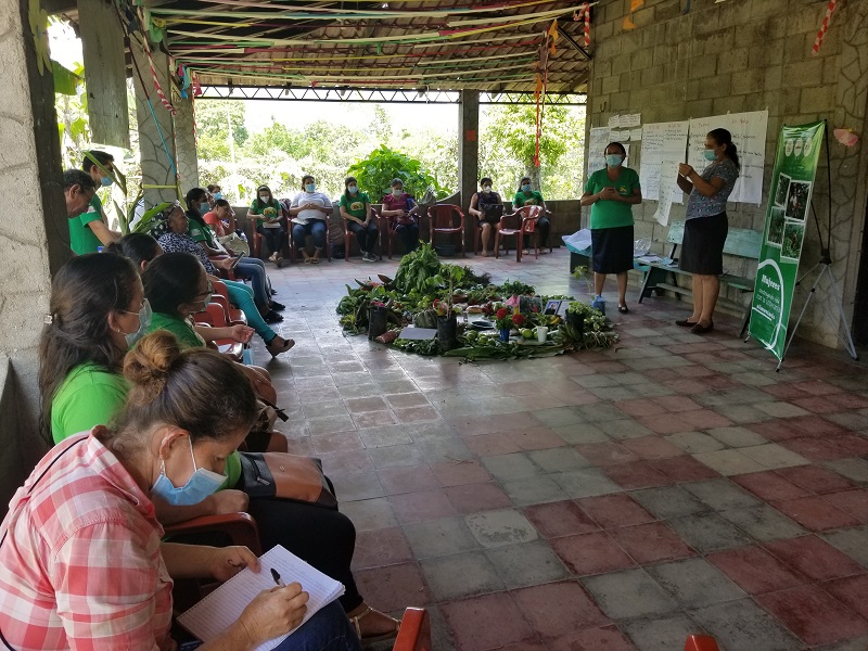 Mujeres Chalatecas rescatan la medicina ancestral como prevención al ...